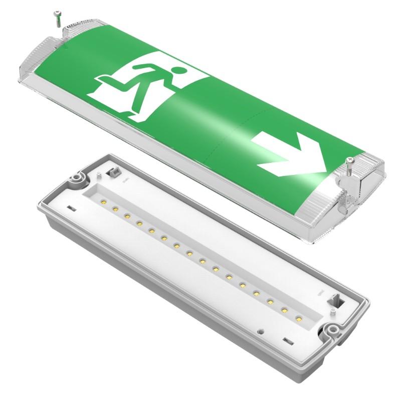 LED Emergency Bulkhead Light | Manual Test